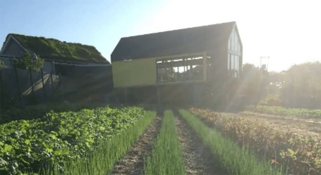 Land healing, farming and spiritual cleansing in Southern Africa ...